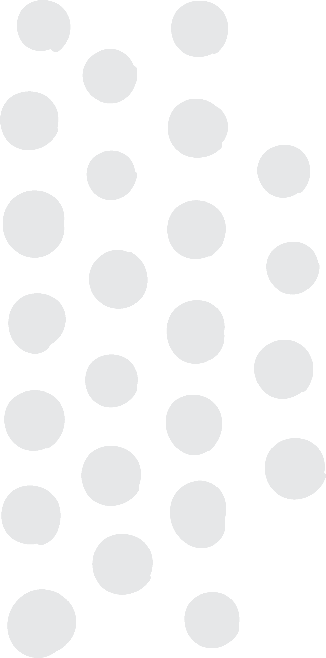 BD Strategy - The Flamingo Project