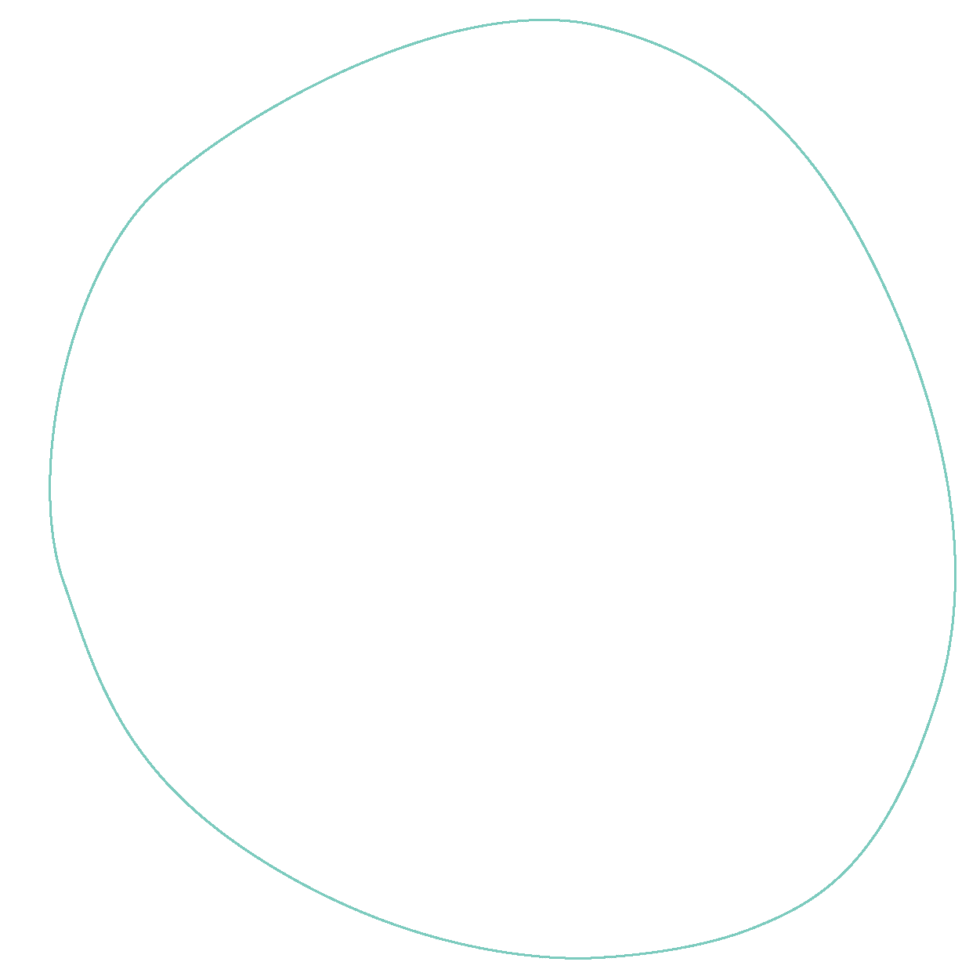 BD Strategy - The Flamingo Project